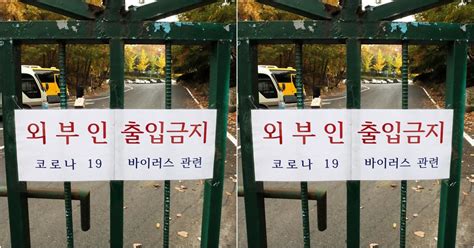 2보 코로나19 신규 확진 103명 다시 세 자리지역발생 96명 위키트리