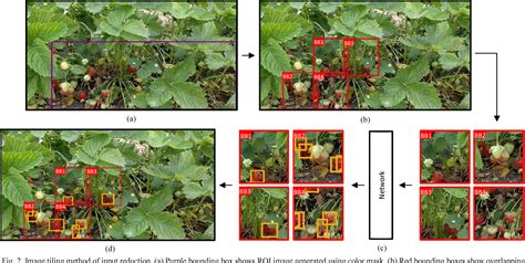 Figure 1 From A Strawberry Detection System Using Convolutional Neural
