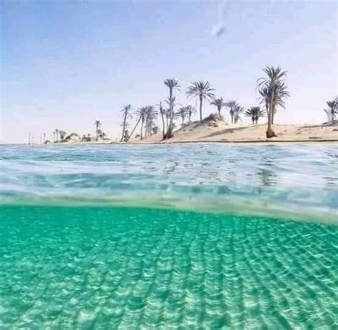 لجنة ميثاق الصلح مصراته تاورغاء