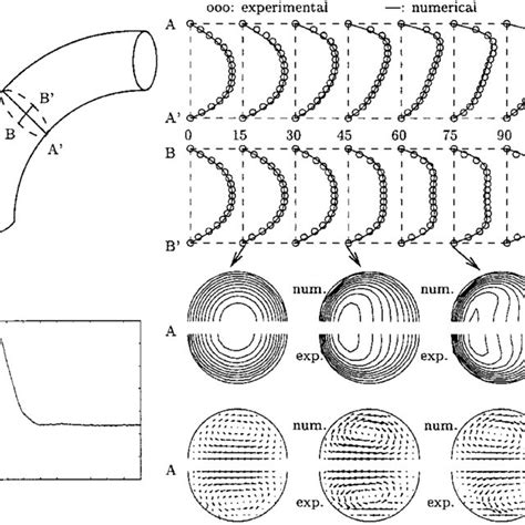 Experimental And Numerical Velocity Distribution At End Diastole For