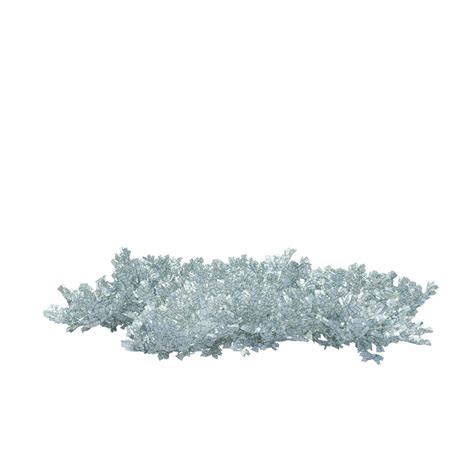 Juniperus Squamata Azul Tropical Modelo 3d 16 Max C4d Fbx Free3d