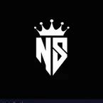 Universal Script NSHUB Roblox Scripts ScriptBlox