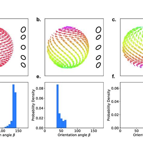 Topological Defects In The Polarity Field Underlie Chiral Symmetry