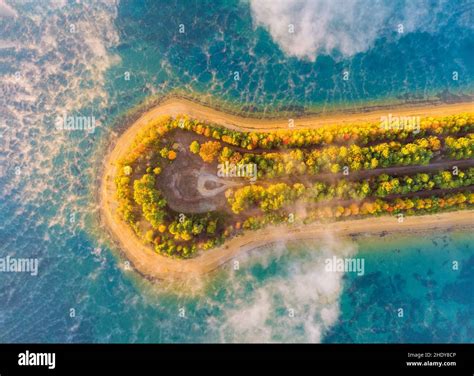 Sea Trees Spit Seas Tree Spits Stock Photo Alamy