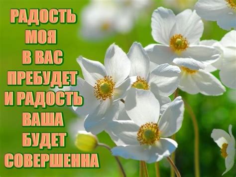 ОТКРЫТКИ
