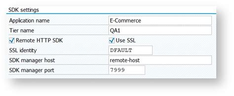 Set Up Sap Abap Agent