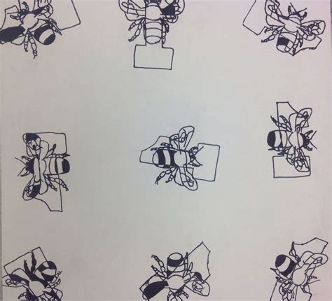 Positive And Negative Bug Drawings
