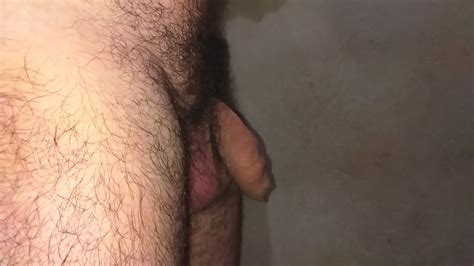 Peludo Com Pau Endurecendo