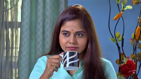 Phulpakhru Tv Serial Watch Phulpakhru Online All Episodes 1 774 On Zee5