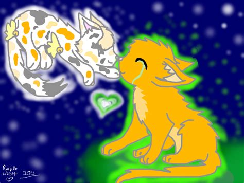 Spottedleaf And Firestar By Purplenightthekitty On Deviantart