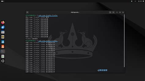 Linux：snap 包管理命令使用指南 系统极客
