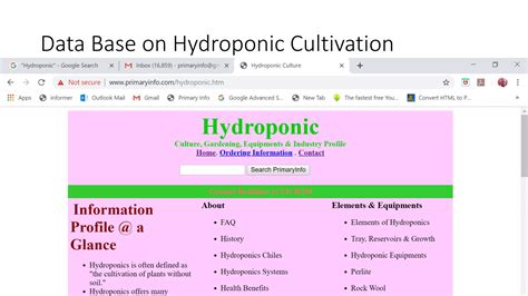 Hydroponic Farming Ppt