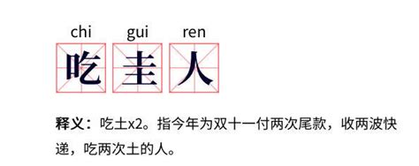 双十一尾款人图鉴：别问，问就是剁过了，在吃圭！ 雷峰网