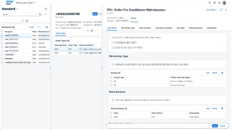 Schaeffler Sap S4hana® Transformation 2022 Today — Christian Van Elten