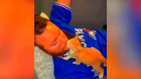 New Funny Animals Video Funniest Cats And Dogs One News Page Video