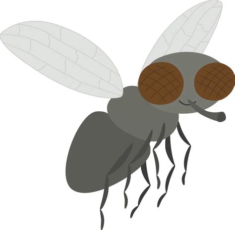 Cartoon Fly Illustration Insect 20124502 Vector Art At Vecteezy