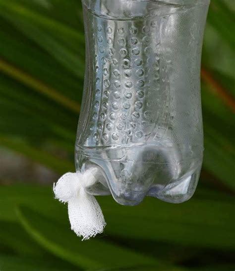 රටේ වෙද්දු April 2016