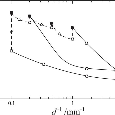 Average Grain Size D As A Function Of The Inverse Of The Diameter D Download Scientific