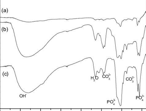 Infrared Spectroscopy With Diffuse Reflectance IR Of Samples Download Scientific Diagram