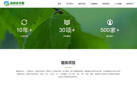 案例展示 CMSYOU企业网站定制开发专家