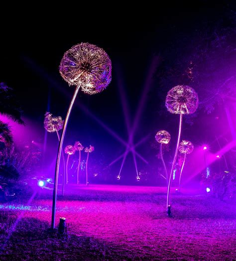 my first event at my new job nightgarden miami album on imgur