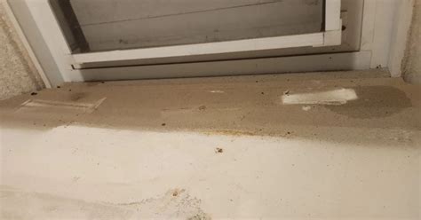 곰팡이가 심해 추가비용이 있긴했지만 늦은 시간까지 깔끔하게 잘 마무리 해주셨습니다 젊은 분들이 다들 인상도 좋으시고 열심히 해