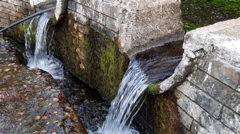 Byshek Elbasan Youtube