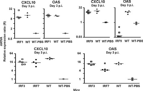 Roles Of Irf1 Irf3 Irf7 And Irf9 In Regulating The Early Expression Download Scientific