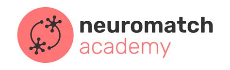 Neuromatch Academy Courses For 2023 Faculty Of Arts And Social Sciences