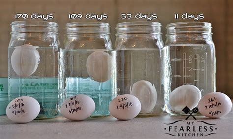 Aging Eggs Diybunker