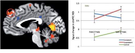 figure 1 from the neural dynamics of updating person impressions