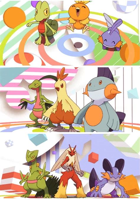 Treecko Torchic And Mudkip And Their Evolutions Cute Pokemon Wallpaper Pokemon Art Pokemon
