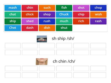 Sorting Digraphs Unit Fundations Group Sort