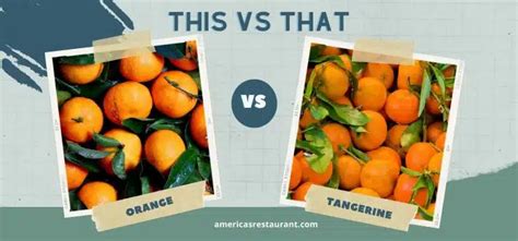 Orange Vs Tangerine Whats The Difference 2026