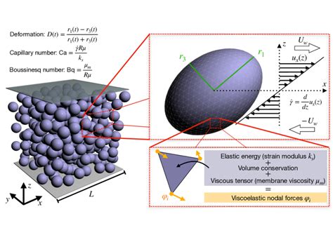 Sketch Of The Simulations Performed In This Work Left Side 3d Cubic Download Scientific