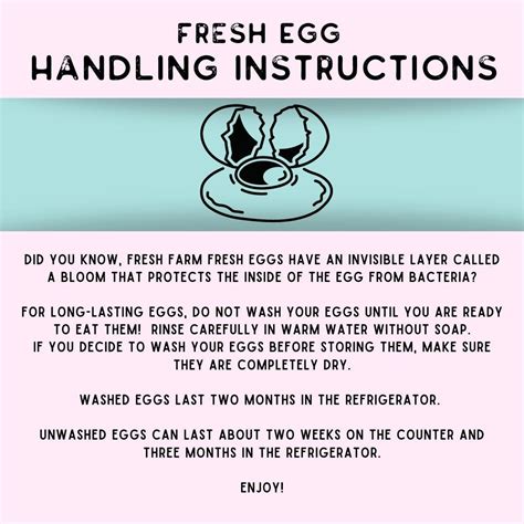 Egg Handling Instructions Etsy