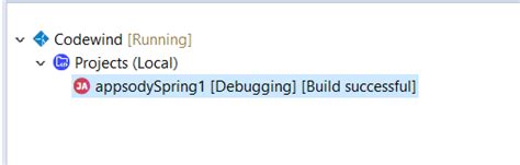 Svtappsody Spring Project Failed To Debug · Issue 308 · Eclipse