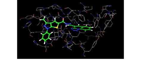 Model Of Compound 3b Docked Into The Binding Site Of Cox 2 Image Shows Download Scientific