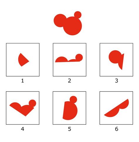 Practice Book For The Wisc V Test Improve Nonverbal And Processing