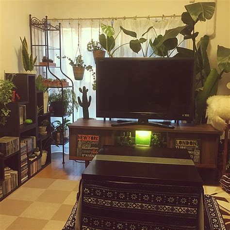 部屋全体植物多肉植物no Green No Lifeサボテンなどのインテリア実例 2015 11 19 143724