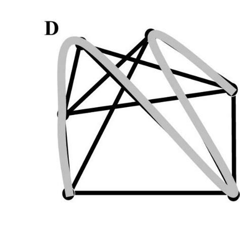 A A Complete Subgraph With Four Vertices Endowed In The Human Download Scientific Diagram