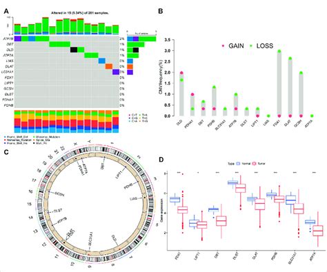 Cuproptosis Related Genes Crgs Genetic Variation Landscape In