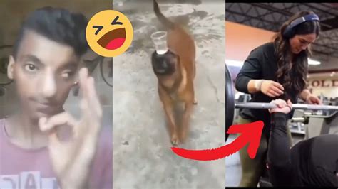 Melhores Tik Tok De ComÉdia Desafio Tente NÃo Rir 01 Youtube