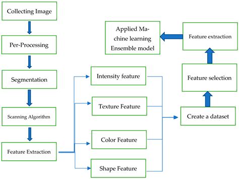 An Ensemble Transfer Learning Model For Detecting Stego Images
