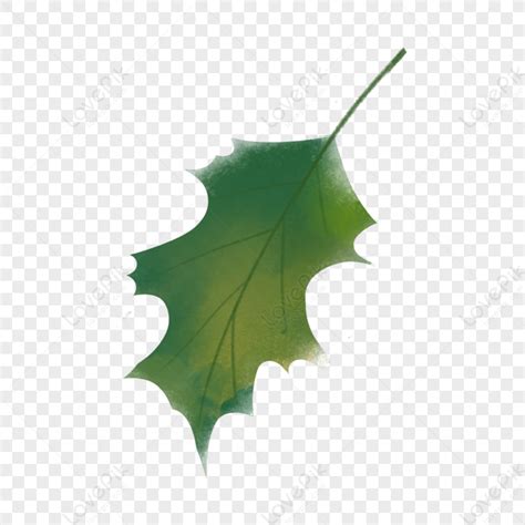 잎 요소 그림 일러스트 손으로 그린 크리에이티브 나뭇잎이파리선 그리기 Png 일러스트 무료 다운로드 Lovepik