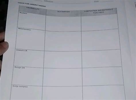 Sachedule Date Check For Underatanoino Date Studyx