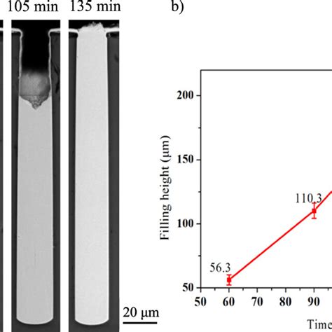 A Bottom Up Filling Of Micro Vias Using Ctab B The Molecular