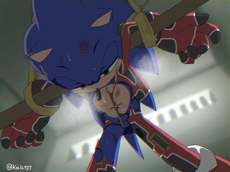 Torture By Kajikimaguro427 On Deviantart Fotos Graciosas De Sonic