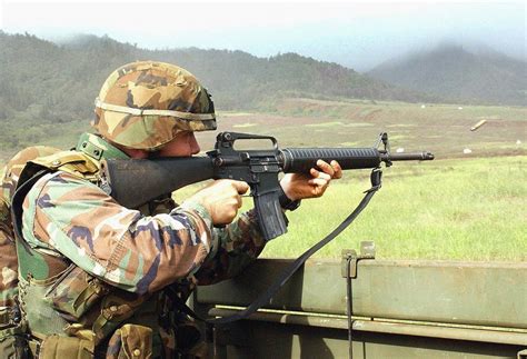M16 Fucile Dassalto Wikipedia