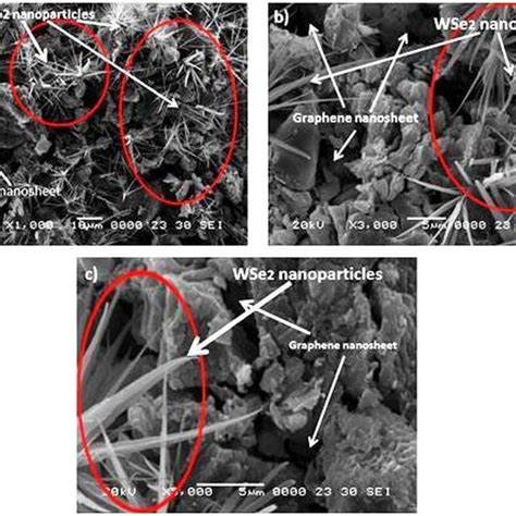 Tem Image Of Wse 2 Graphene Download Scientific Diagram